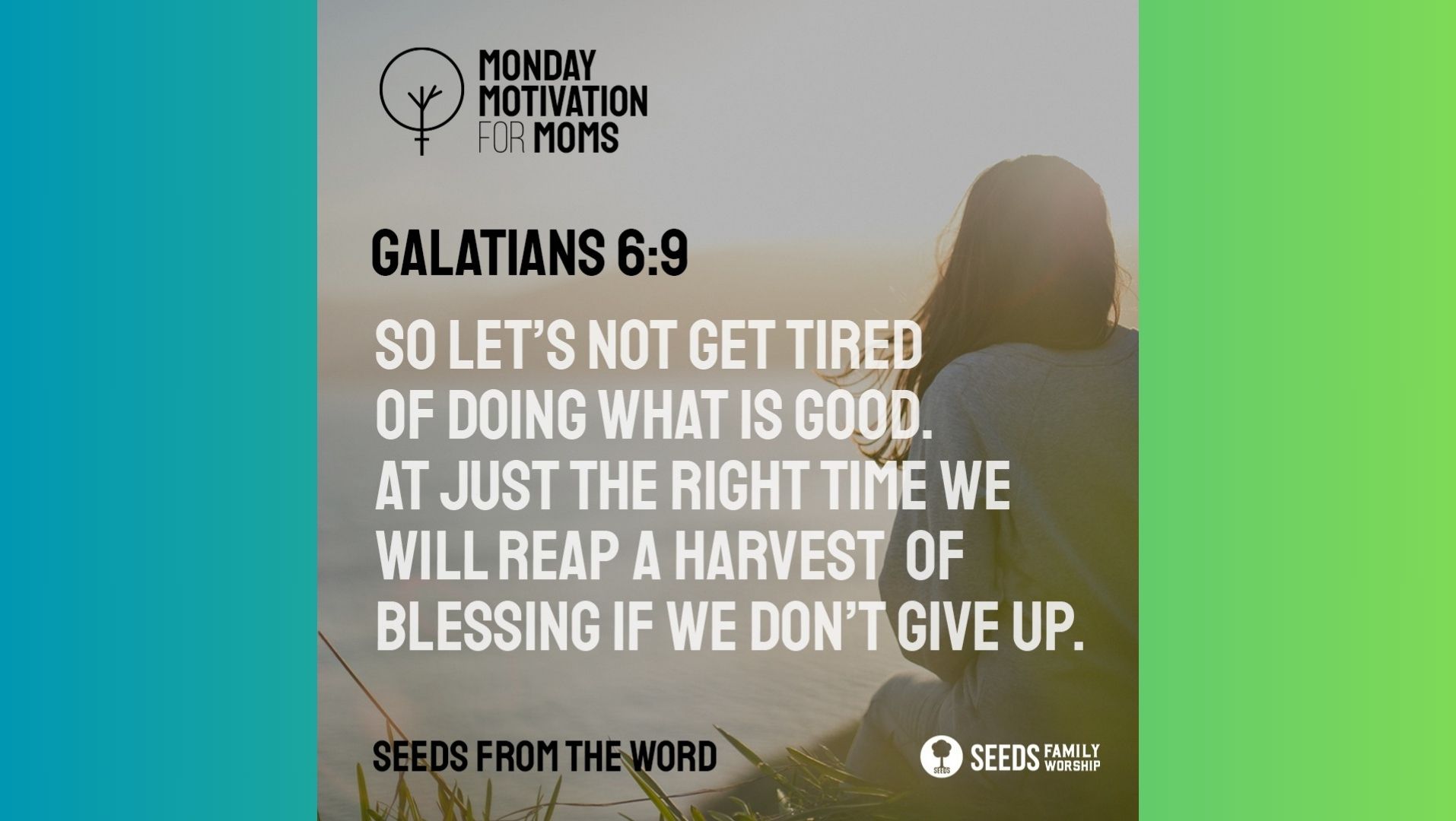 Seeds from The Word: A Harvest of Blessing - Seeds Kids Worship
