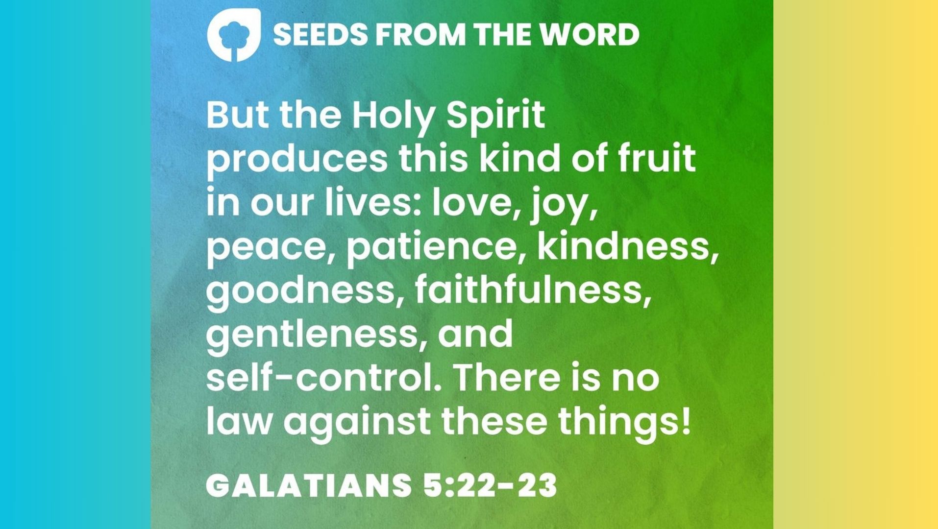 The Holy Spirit Waters The Seed